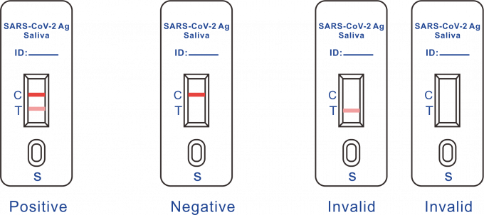 Labnovation Cassette Saliva Antigen Rapid Test Kit 98.02% Accuracy